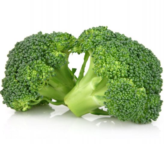 Broccoli | Oakleys Premium Fresh Vegetables New Zealand